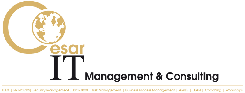 Cesar IT Consulting