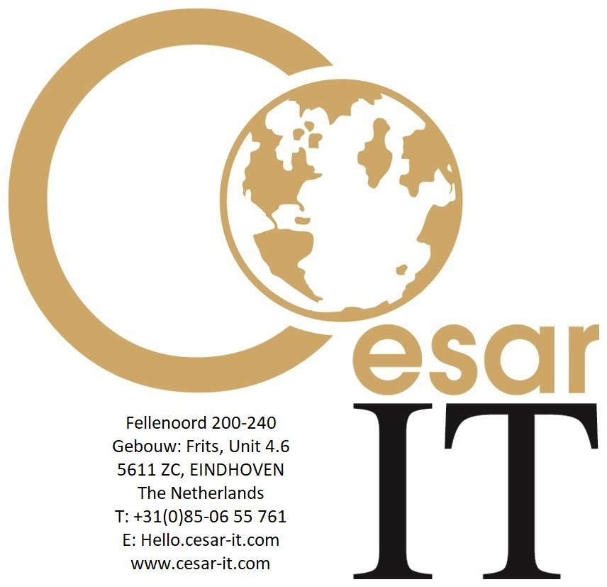Cesar IT Consulting
